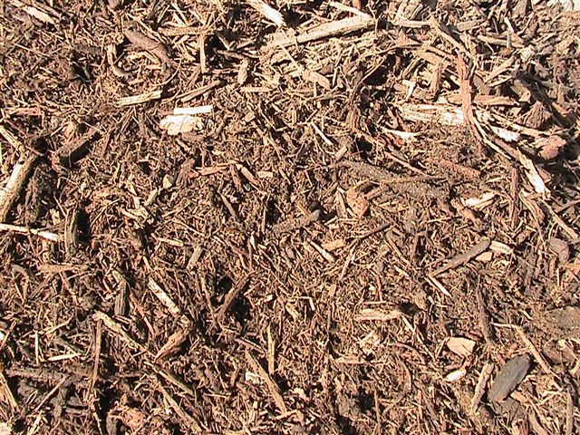 Forest Mulch | Smart Stone Landscape Supplies
